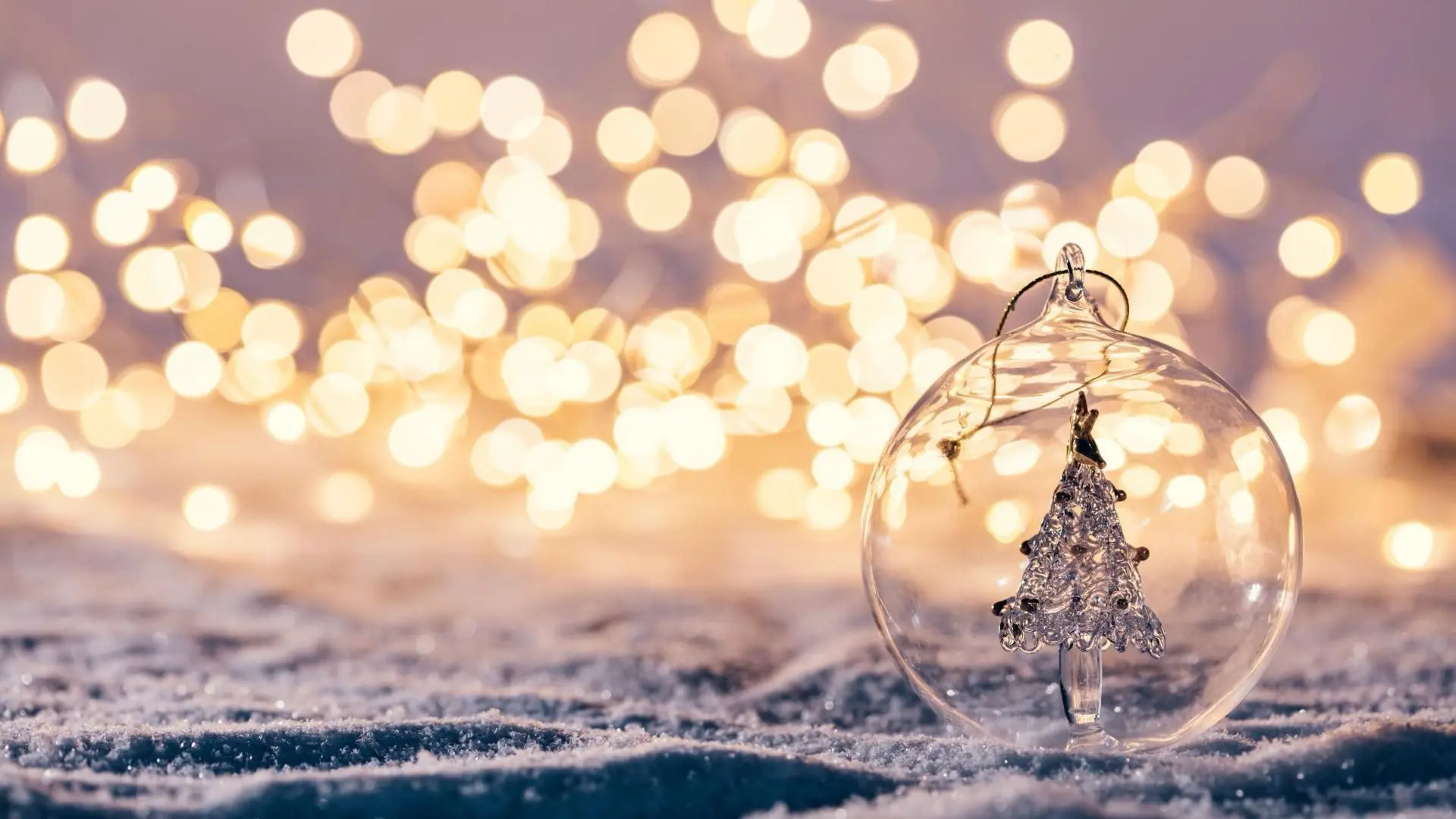 Season’s Greetings | Joray & Wyss